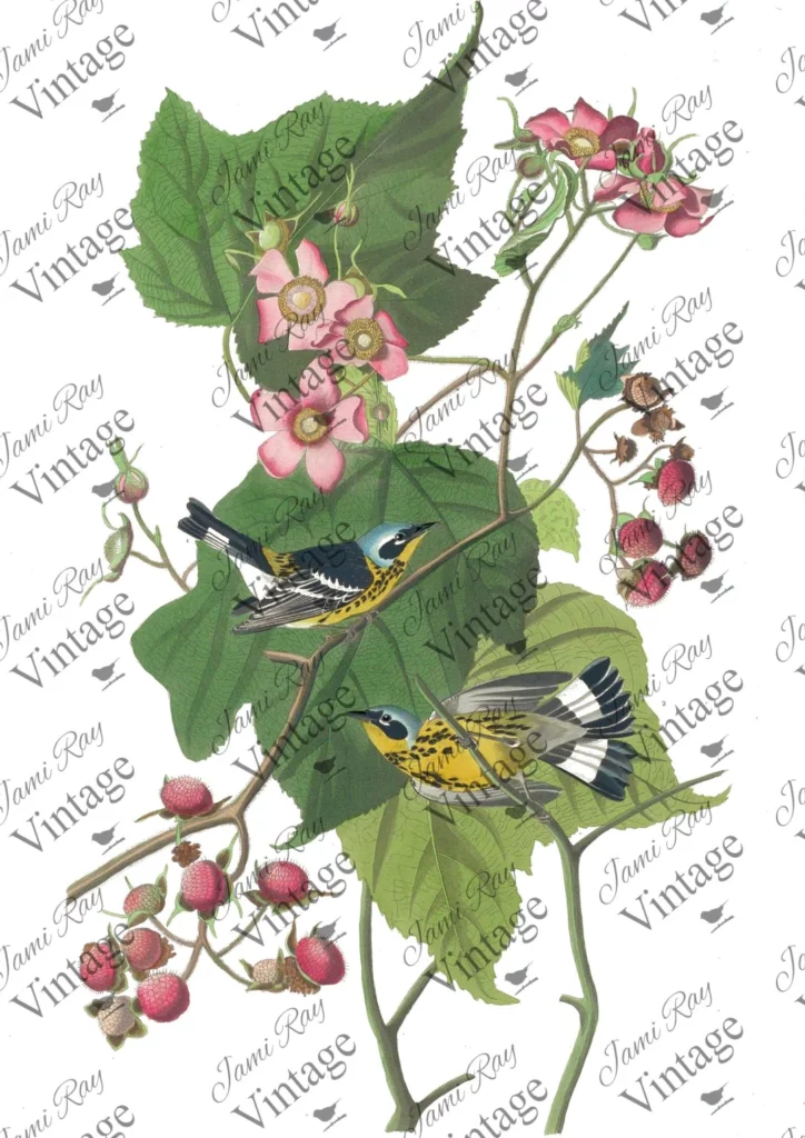 birds and roses | jrv rice paper | A4 - Create Your Own Cozy